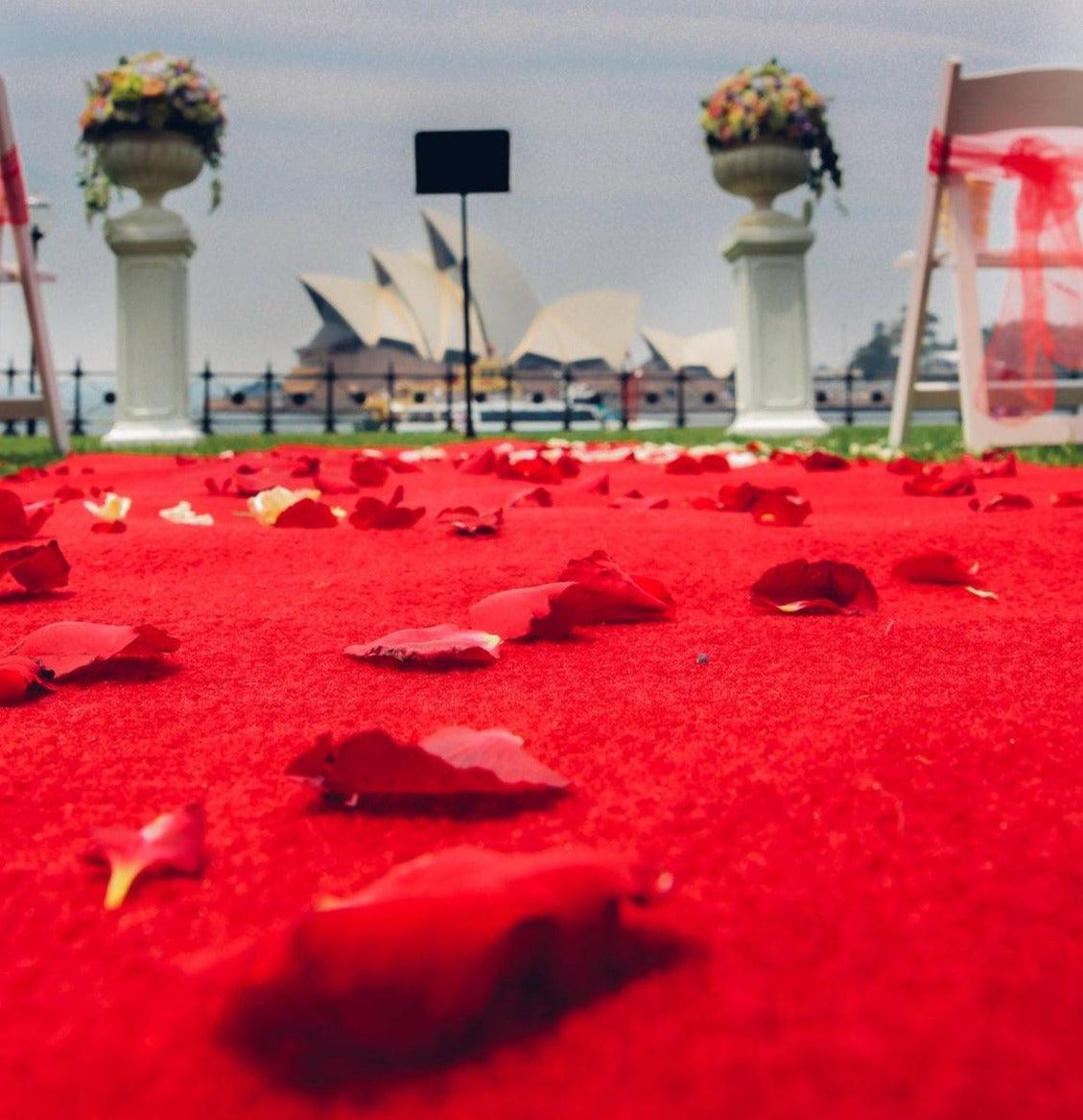 Custom Printed Red Velvet Wedding Aisle Runner Special